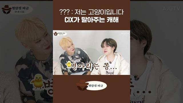 저는 고양이입니다 #CIX 가 말아주는 캐해 | ZUM TV