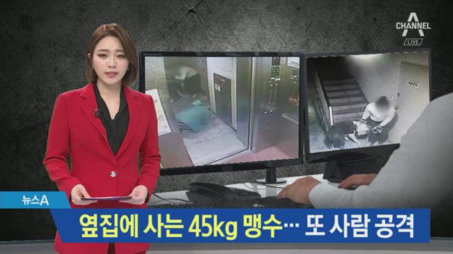 옆집에 사는 45kg 맹수…대형견이 또 사람 물었다 | ZUM TV