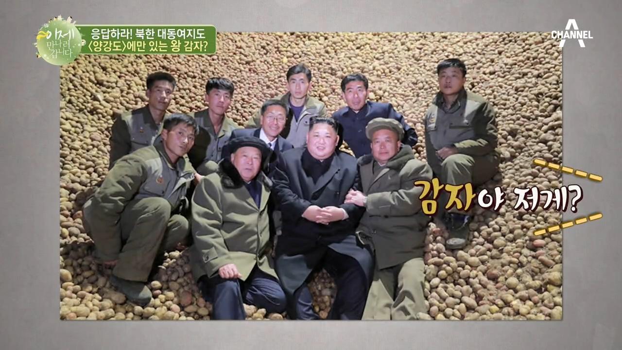 감자 한 알이 3.8kg? 양강도에만 있는 *왕 감자*?! | ZUM TV