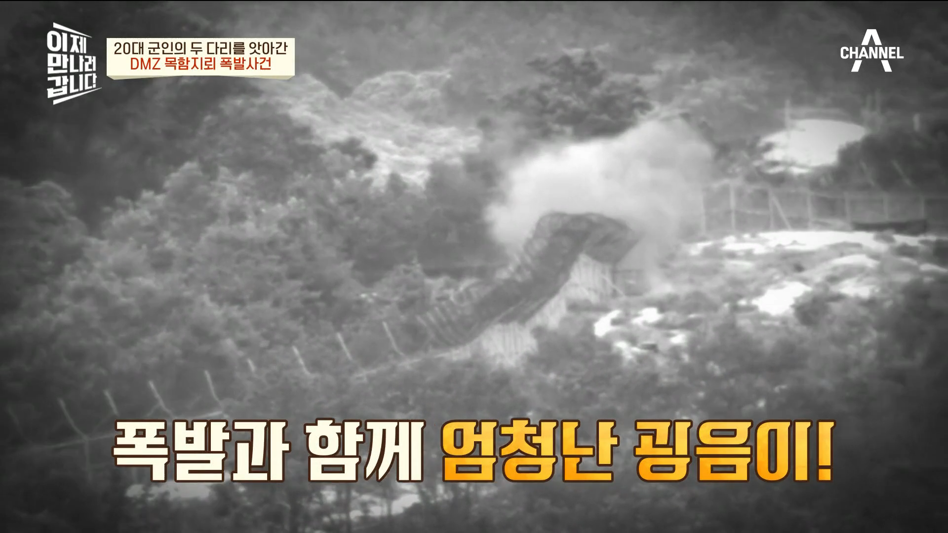 진돗개 하나 발령! DMZ 목함지뢰 도발 사건 때문에 전쟁의 문턱까지 갔던 남북 | ZUM TV