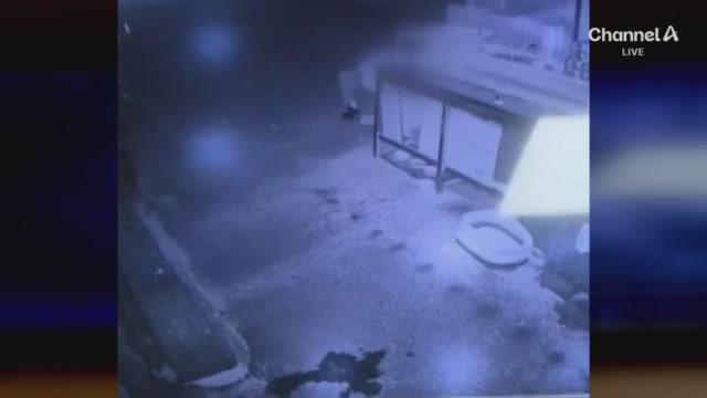 쇠막대·담뱃불로 길고양이 학대…CCTV에 고스란히 | ZUM TV