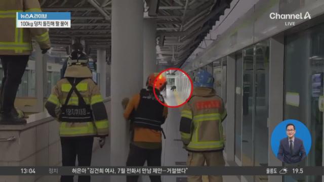 경남 양산 지하철에 100kg 멧돼지 난동 | ZUM TV