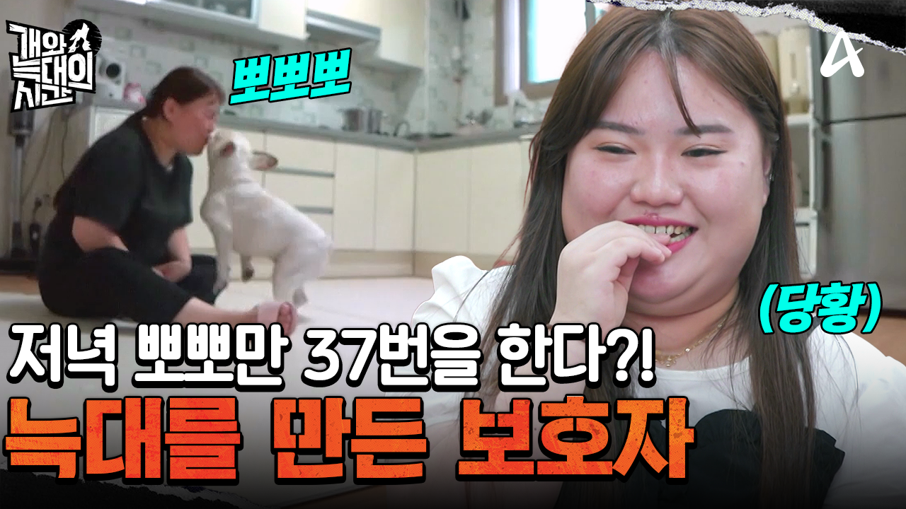 멈추지 않는 반려견과의 과도한 스킨십! 늑대를 만든 '보호자' | ZUM TV