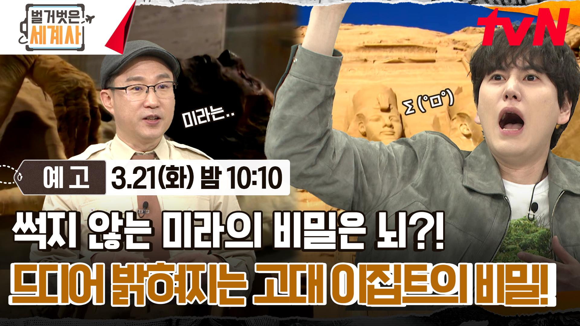 [예고] 썩지 않는 미라의 비밀은 뇌?! 드디어 밝혀지는 고대 이집트의 비밀! | ZUM TV