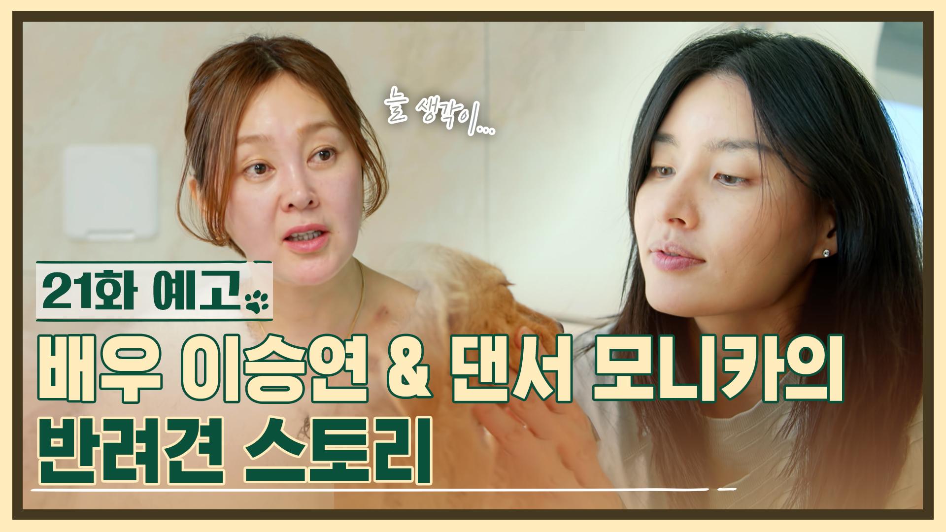 [예고] 배우 이승연 And 댄서 모니카의 반려견 스토리 Zum Tv