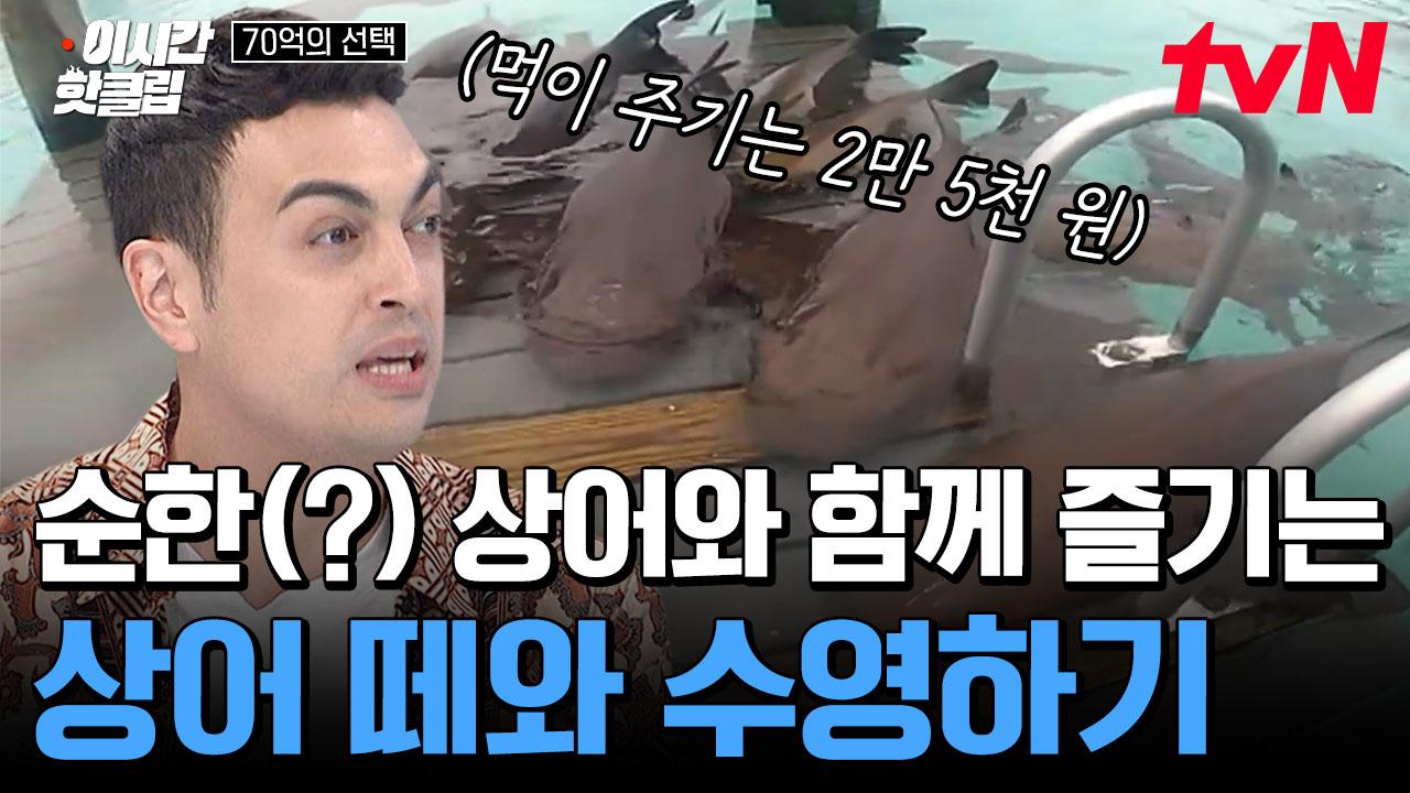 [#70억의선택] 인생의 마지막 액티비티🌊 상어떼와 함께라면 박태환 급 수영 SSAP가능 | ZUM TV