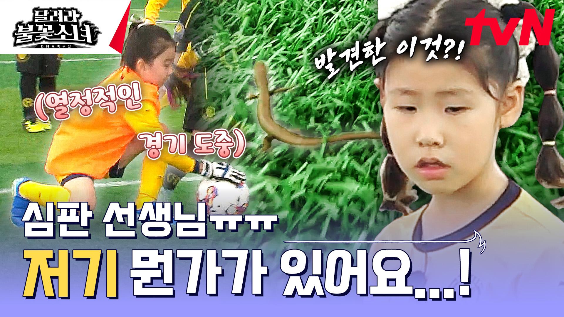 [#과몰입주의] 도마뱀(?!)도 구경 나온 불꽃소녀축구단 경기ㅋㅋㅋ | tvN 241214 방송 | ZUM TV
