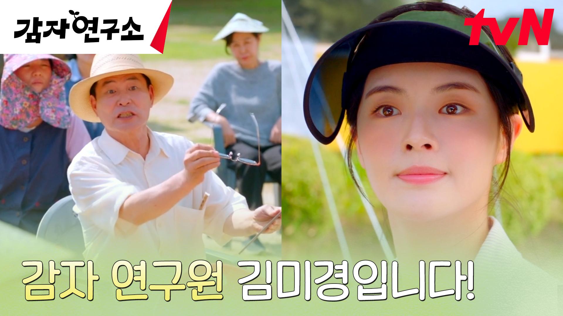 감자연구소 대리 이선빈, 신품종 감자를 팔기 위한 농민들과의 기싸움♨︎ | tvN 250301 방송 | ZUM TV