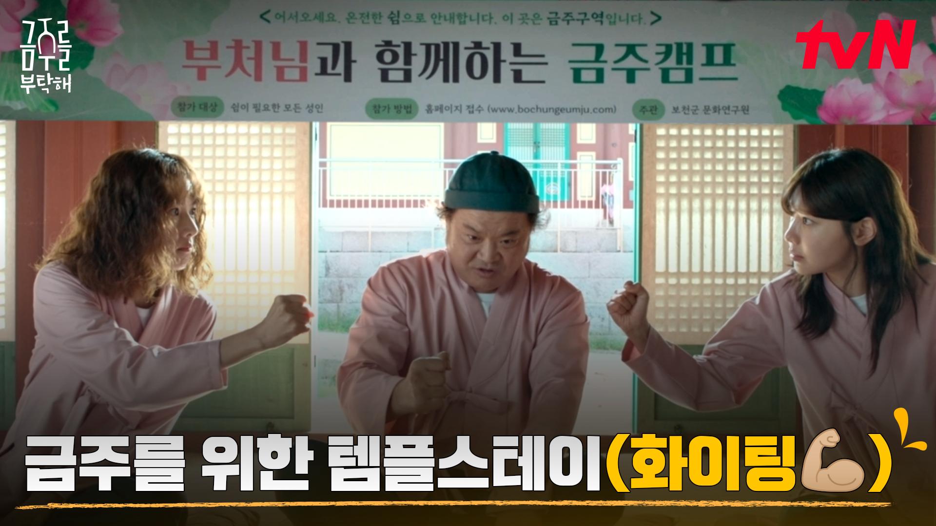 최수영X김상호X조윤희, 부처님과 함께하는 금주 캠프...; | tvN 250519 방송 | ZUM TV