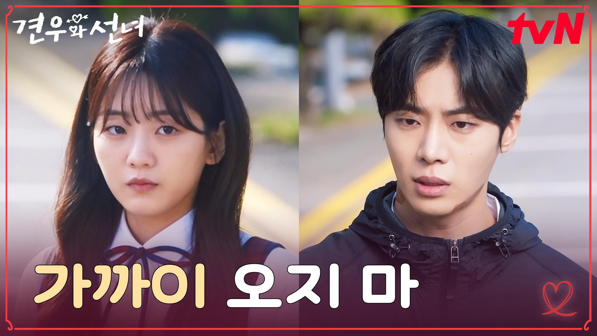 추영우, 매콤한 팩폭으로 조이현에게 거리 두기 시전?! | tvN 250624 방송 | ZUM TV