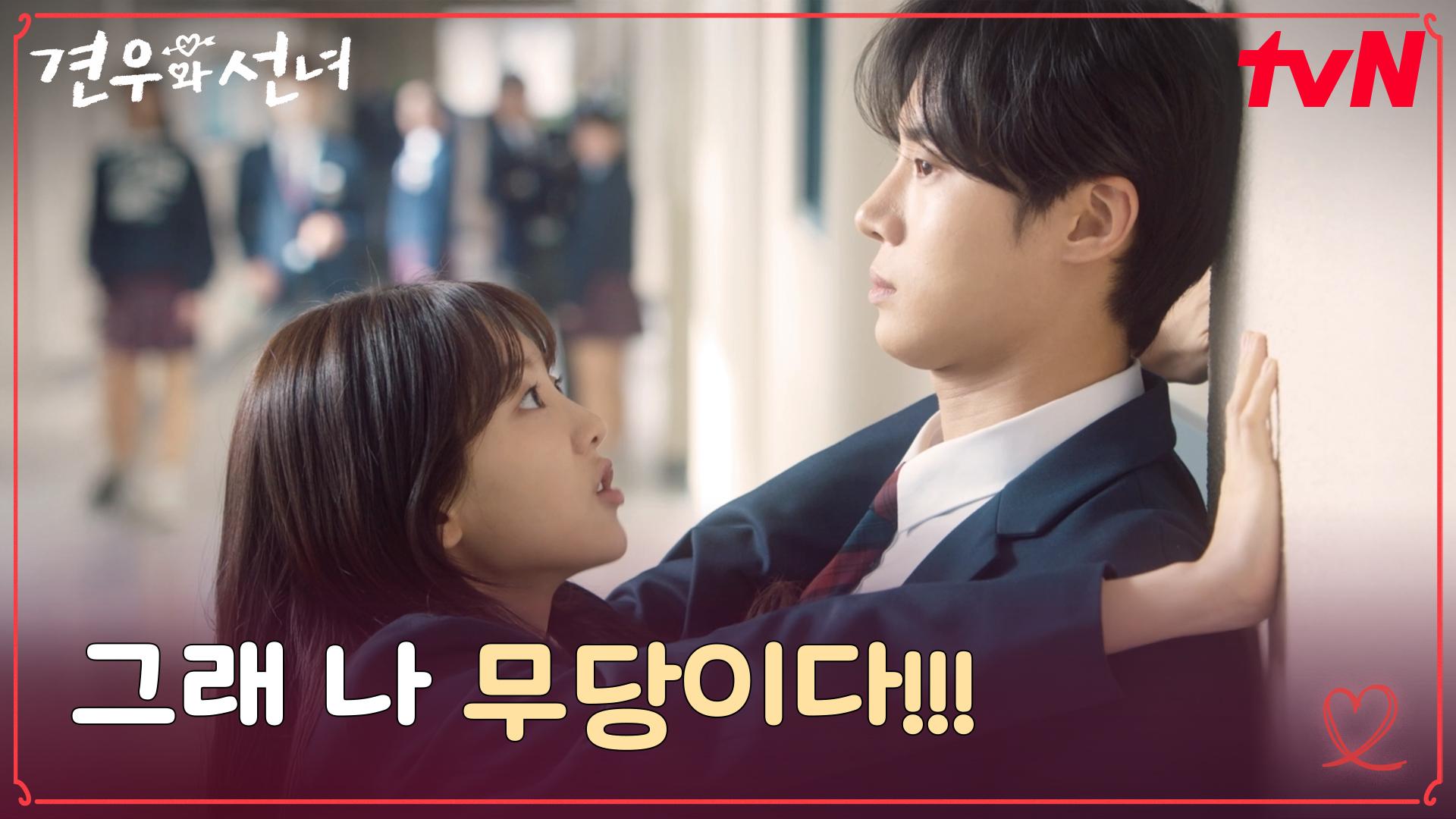 조이현, 답답한 마음 터트리는 진실 고백 샤우팅 ㅋㅋㅋ (ft.상상) | tvN 250701 방송 | ZUM TV