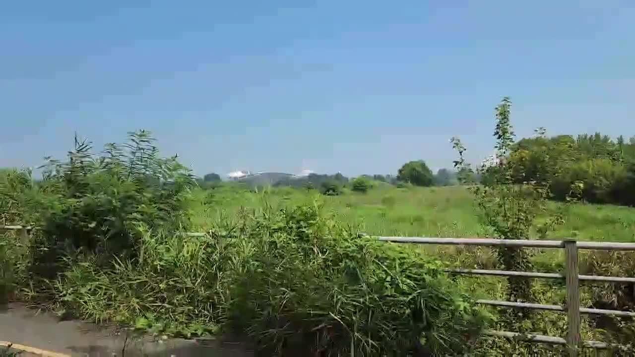 KCC 떠난 전주체육관 신축 부지엔 "허리만큼 자란 잡초만 무성" [르포] | ZUM TV