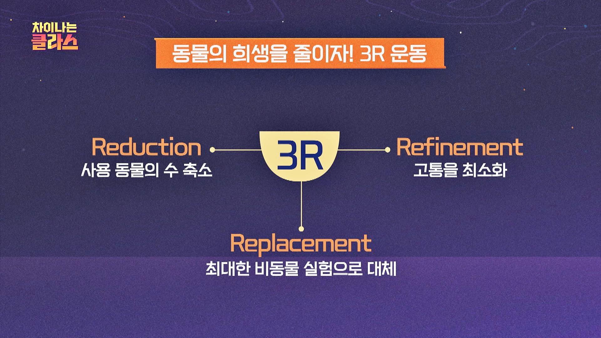 조금이나마 동물의 값진 희생을 줄이기 위한 '3R 운동' : TV줌