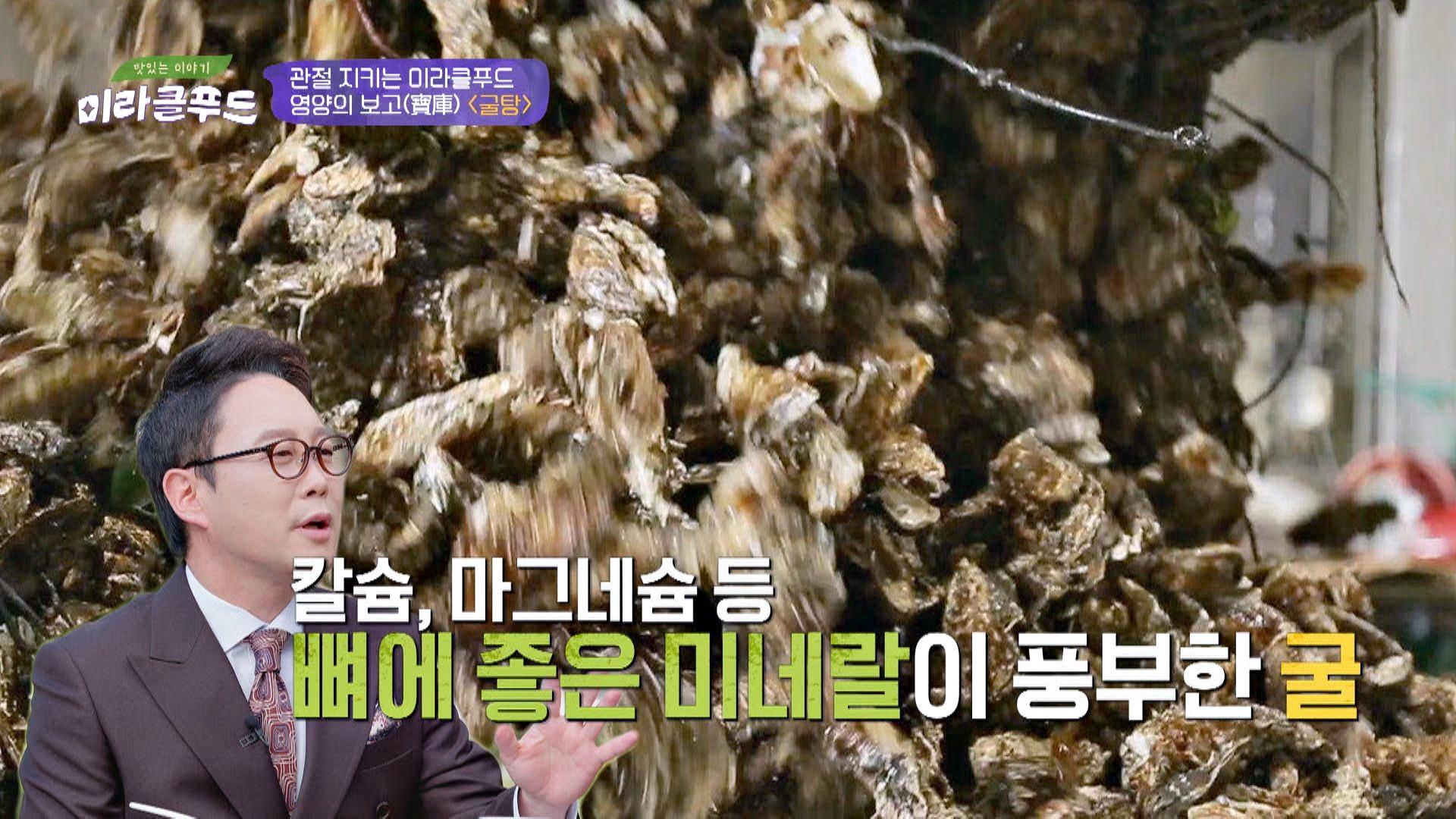 '관절 건강 + 뼈 건강' 지키는 미네랄 풍부한 미라클푸드 〈굴〉 | JTBC 201031 방송 | ZUM TV