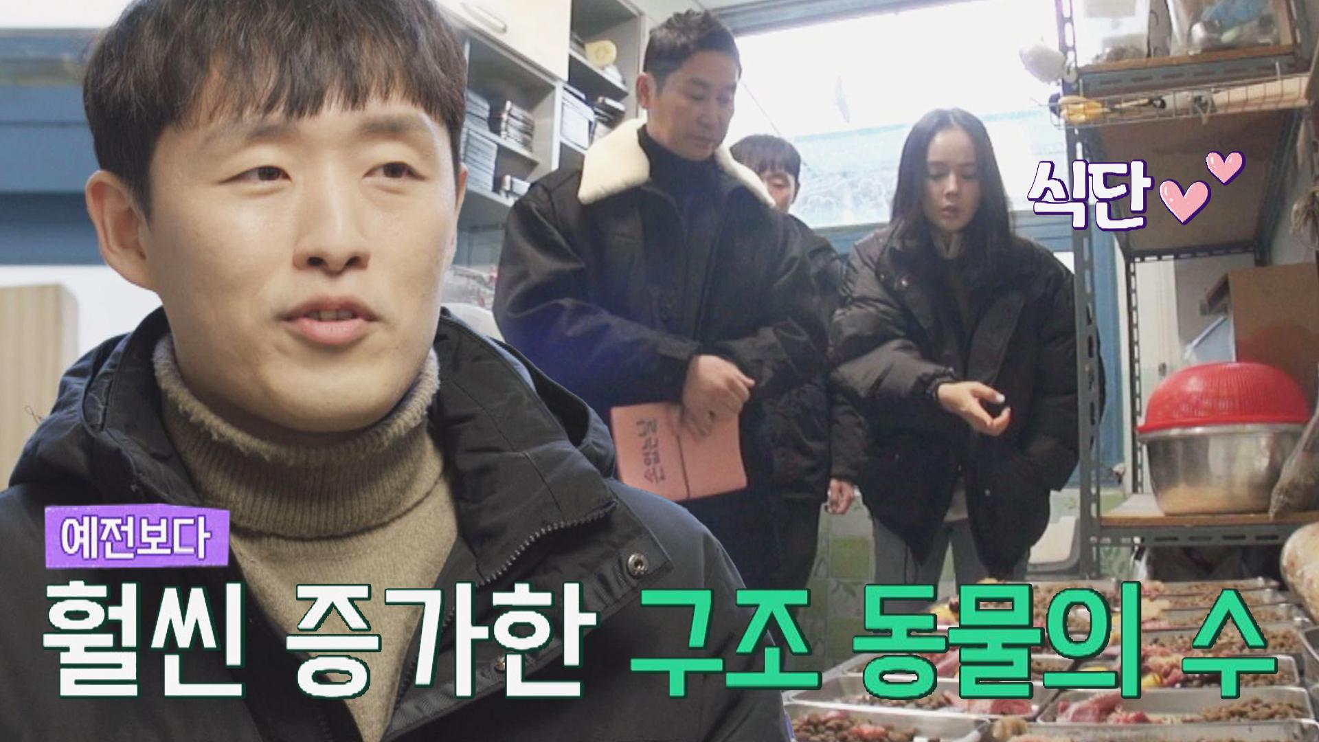 점점 증가하는 구조 동물의 수, 그에 비해 턱없이 부족한 예산💦 | JTBC 230221 방송 | ZUM TV