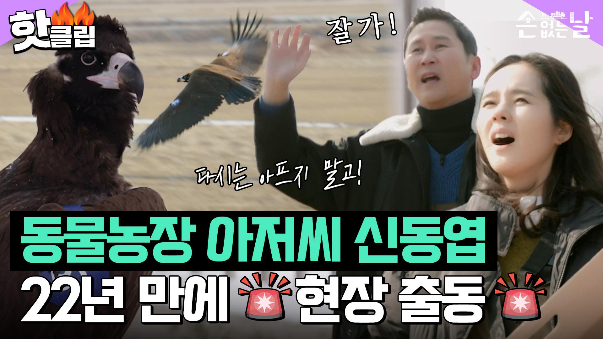 [손 없는 날] ＂다신 보지 말자~＂ 손 없는 날 최초 동물 이사(?) 독수리 방생하는 신동엽&한가인 🦅｜핫클립｜JTBC 230221 방송 | ZUM TV