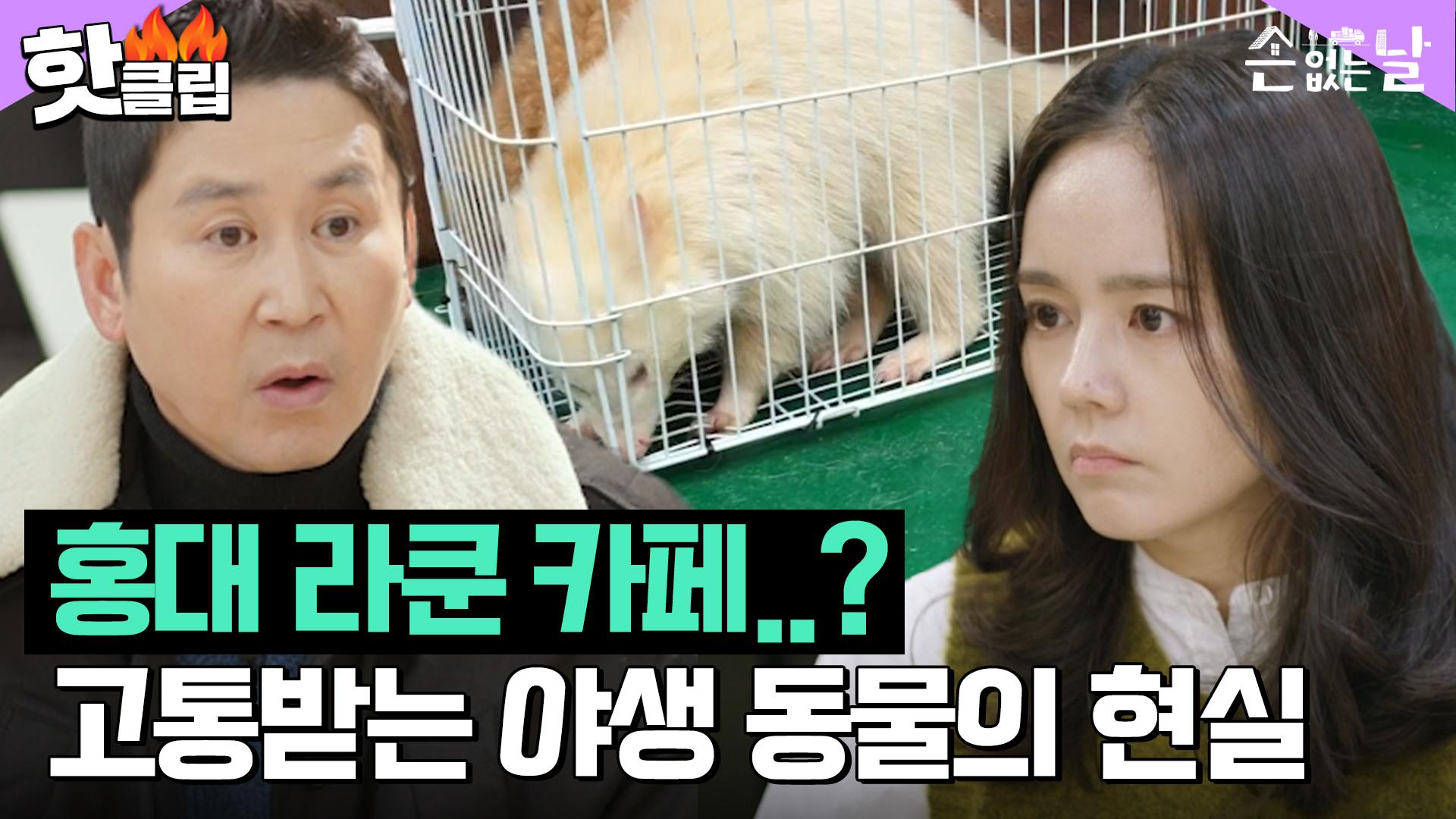 [손 없는 날] ＂다 사람 때문이에요＂ 야생동물을 구조하고 공존해서 함께 살아가야 하는 이유｜핫클립｜JTBC 230221 방송 | ZUM TV