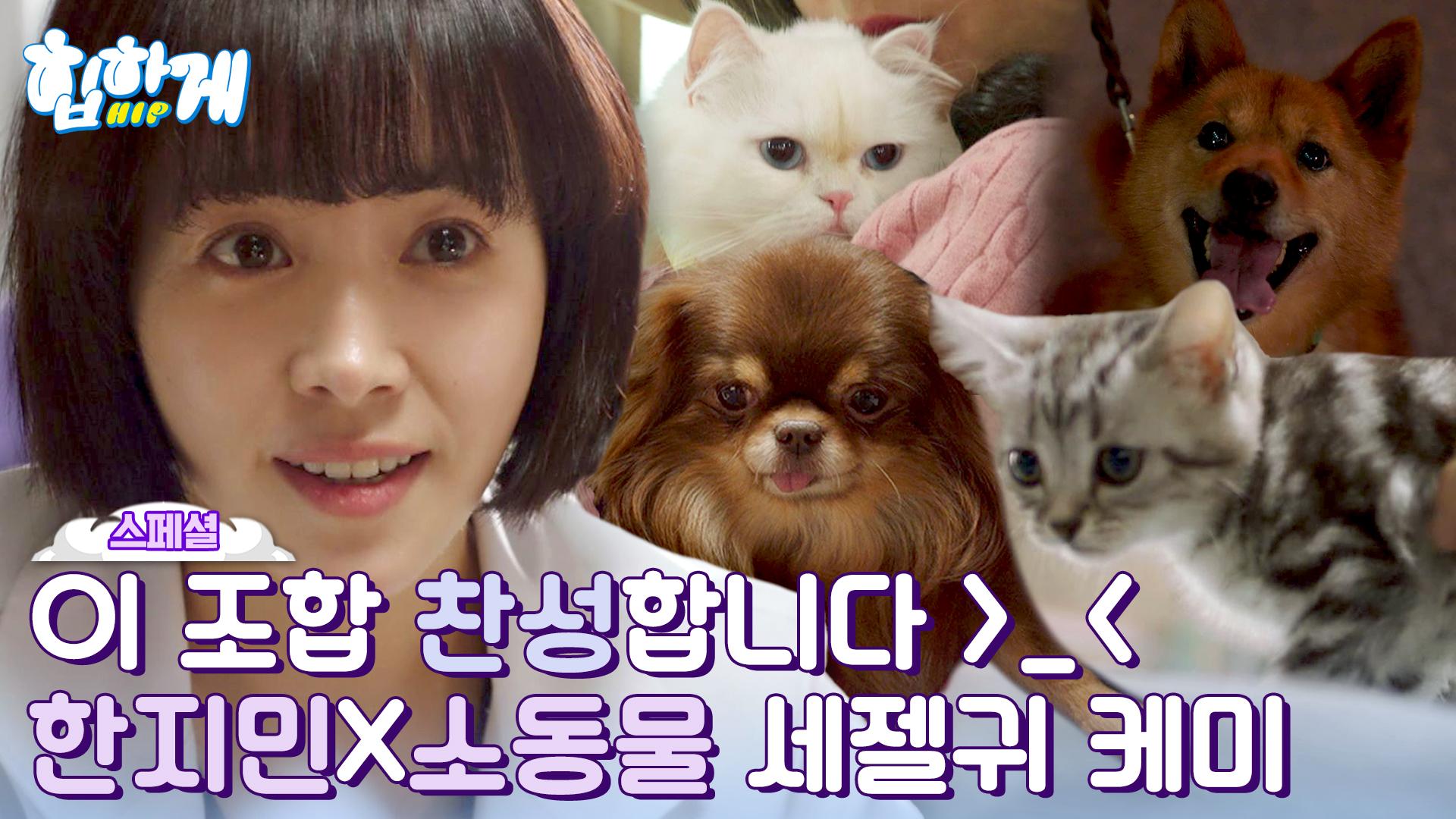 [스페셜] 누가 한지민이고 누가 강아지야? 엉덩이로 통하는 소동물들의 美친 케미 보고 가세요💚 | JTBC 230813 방송 | ZUM TV