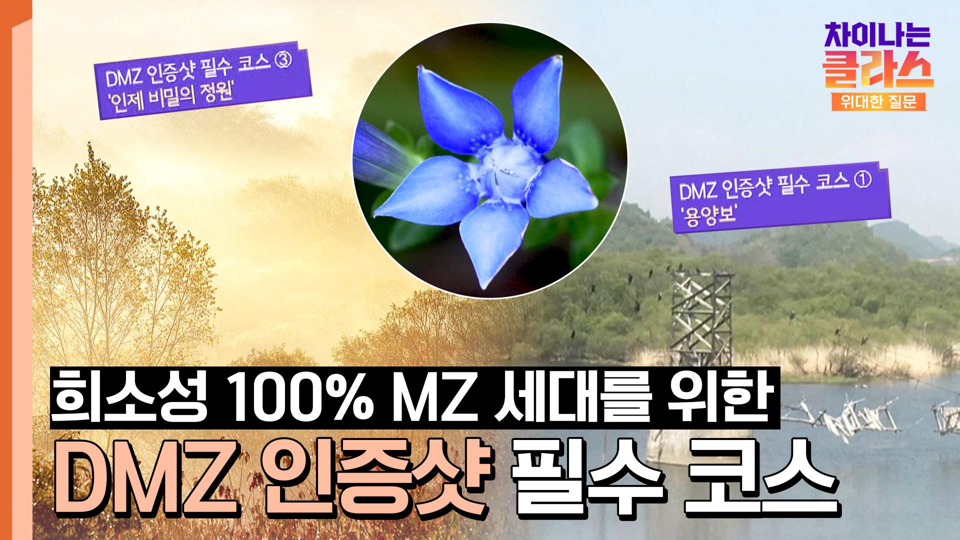 한모니까 교수님이 MZ들에게 추천하는 DMZ 인증샷 필수 코스 | JTBC 240106 방송 | ZUM TV
