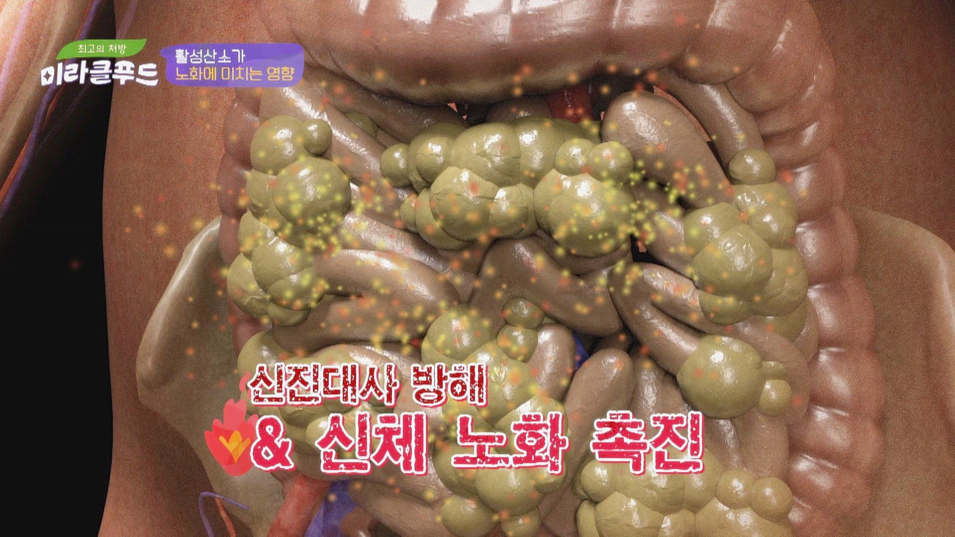 남들보다 더 늙어 보이는 이유?! 몸 안에 쌓인 '활성산소' 때문! | JTBC 240214 방송 | ZUM TV