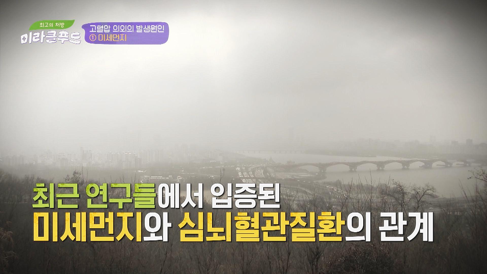 미세먼지가 혈관질환 야기한다?! 고혈압 유발하는 의외의 원인들... | JTBC 240221 방송 | ZUM TV
