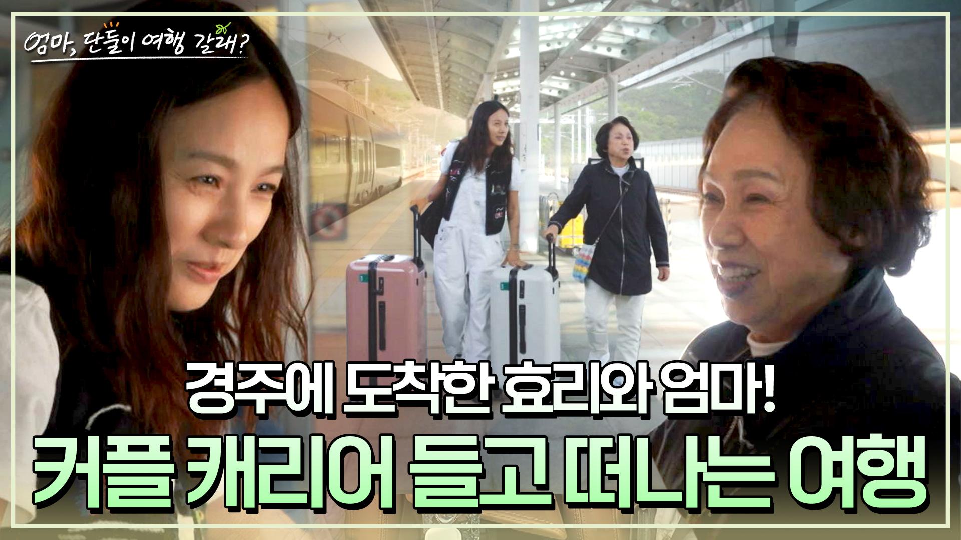 캐리어까지 커플로 맞춘＞＜ 효리와 엄마의 첫 경주 여행 가보자고↗ (ft. 싸우지 말자..) | JTBC 240526 방송 | ZUM TV