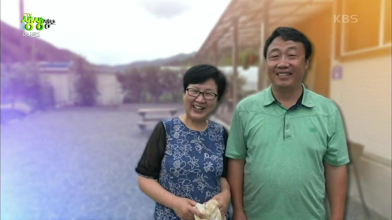 여행자 부부의 이곳만이 내 세상♡ | KBS 210622 방송 | ZUM TV