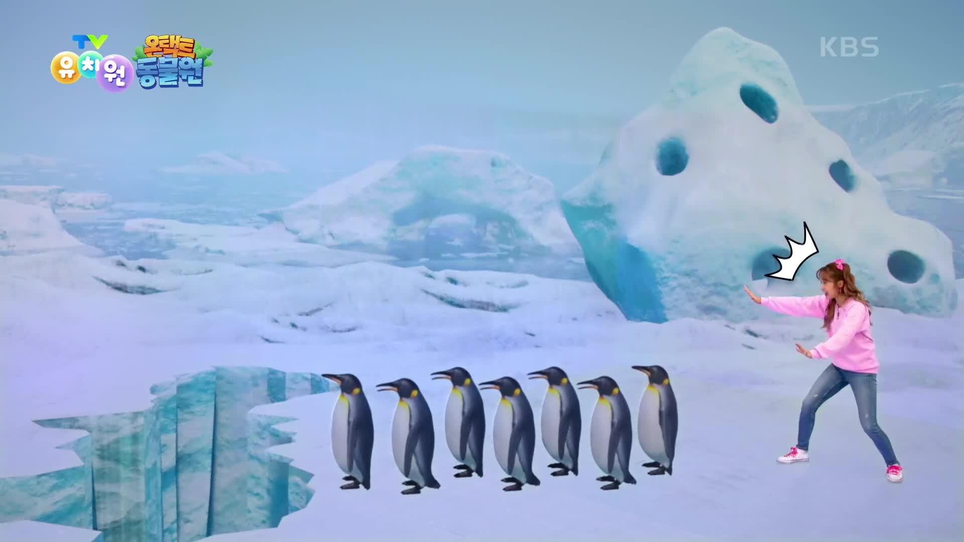 [온택트 동물원] 펭귄이 한 줄 기차로 다니는 이유가 뭘까?? | KBS 211115 방송 | ZUM TV