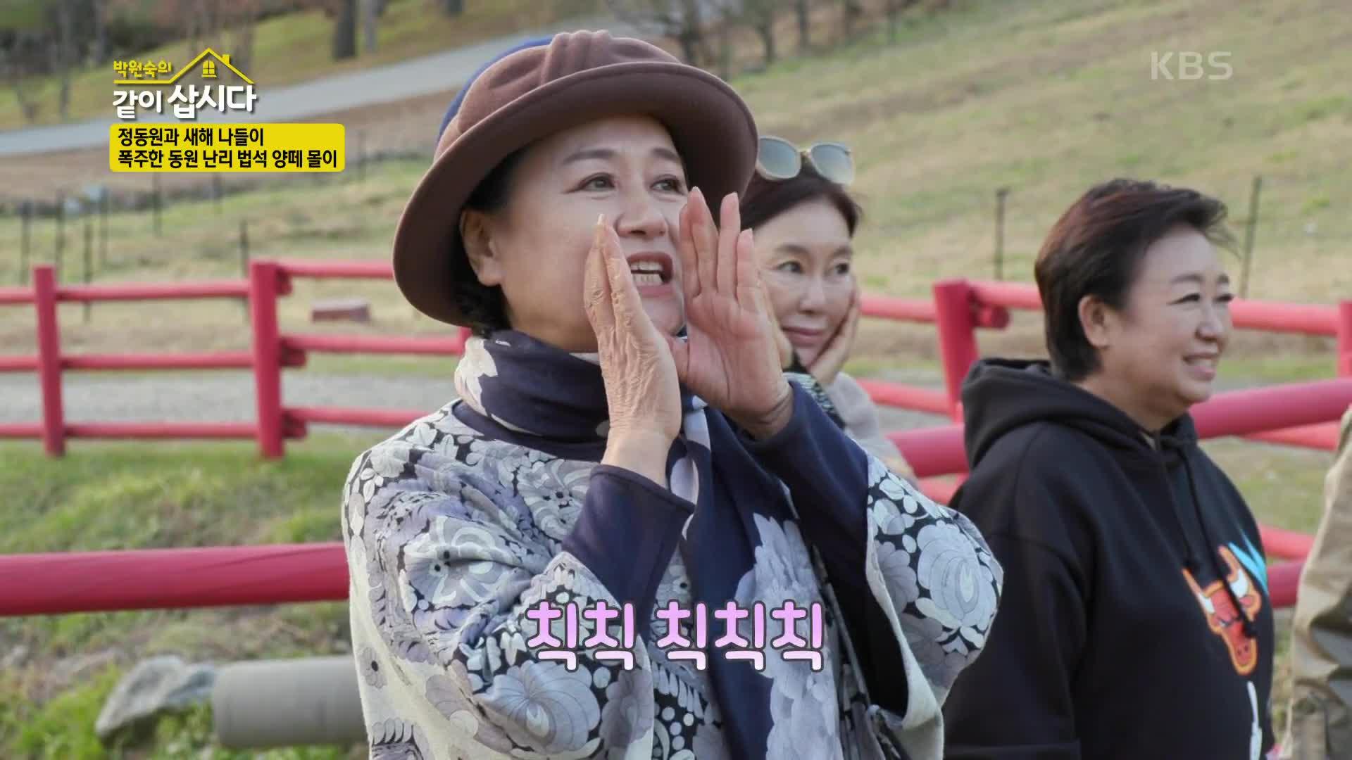 난리 법석 양떼 몰이 ㅋㅋㅋ | KBS 220105 방송 | ZUM TV