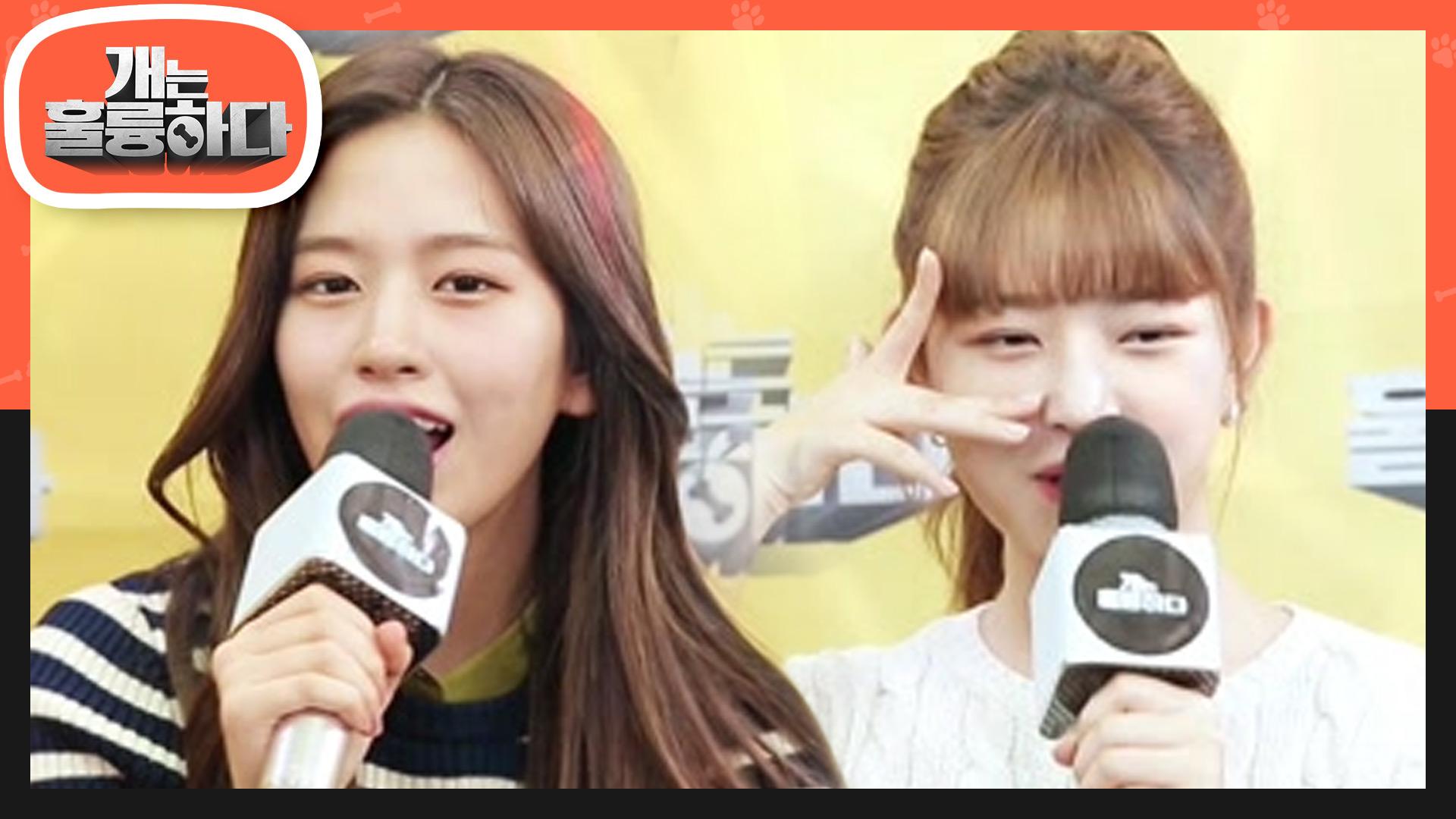 후추를 위한 IVE의 LOVE DIVE ♬ LIVE🎤 (ft. Kyugle🌍) | KBS 221003 방송 | ZUM TV