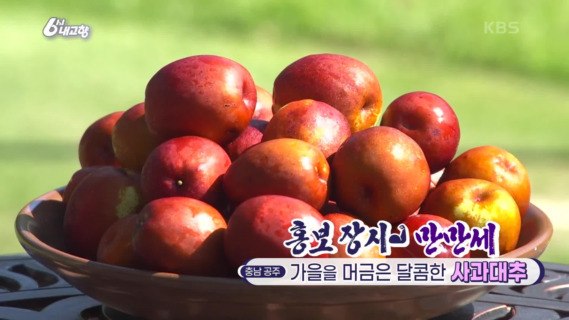 [홍보장사 만만세] 가을을 머금은 달콤한 사과대추 | KBS 221018 방송 | ZUM TV