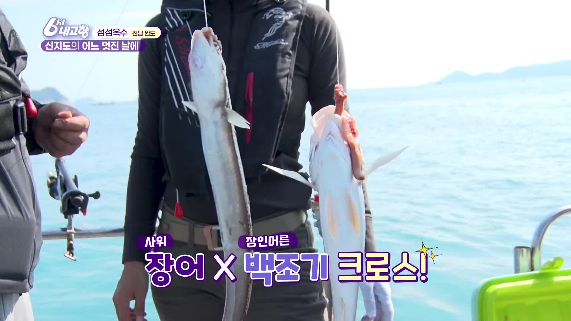 [섬섬옥수] 신지도의 어느 멋진 날에 | KBS 221028 방송 | ZUM TV