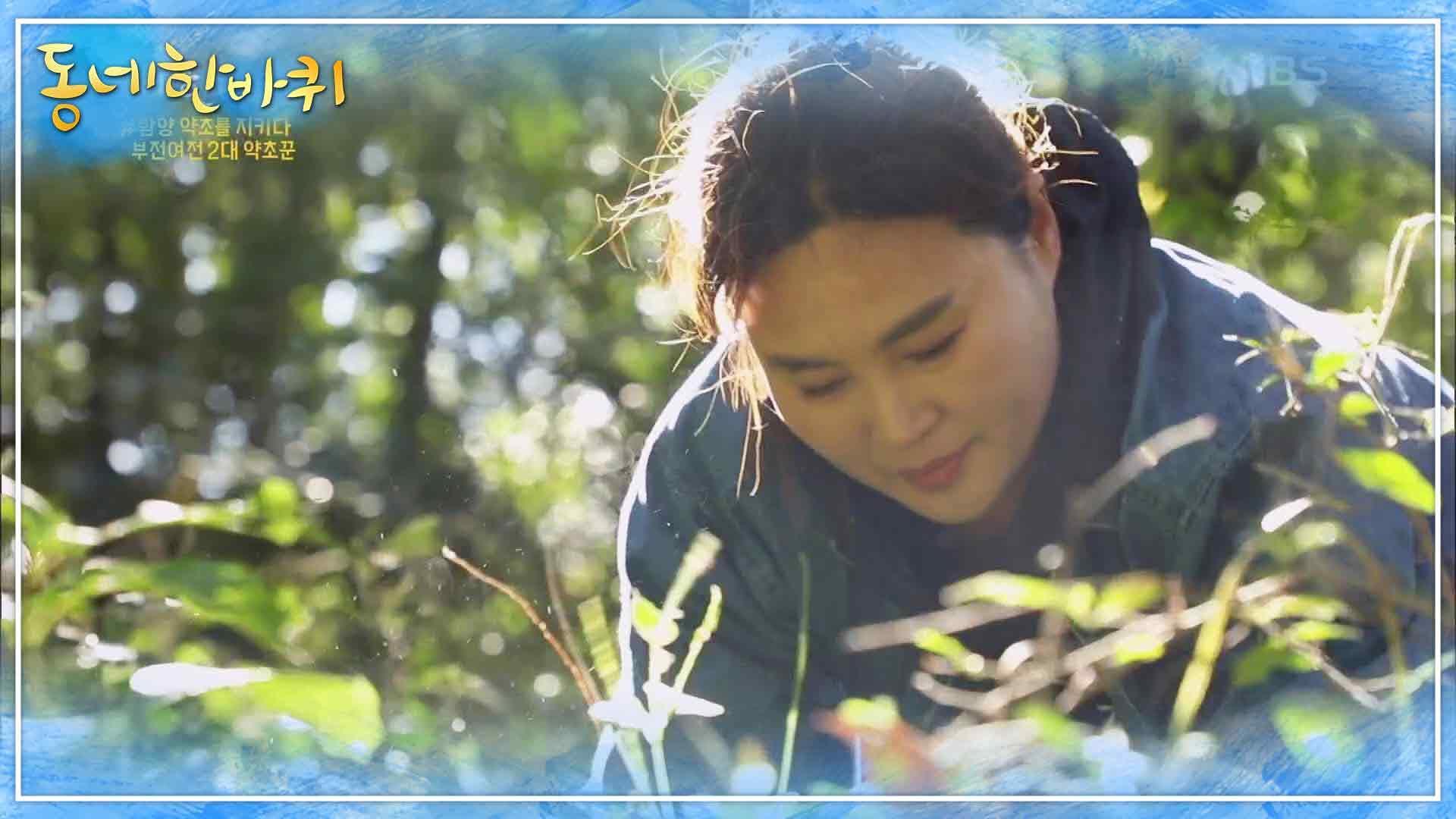 산의 고장 함양의 부전여전 2대 약초꾼 | KBS 221029 방송 | ZUM TV