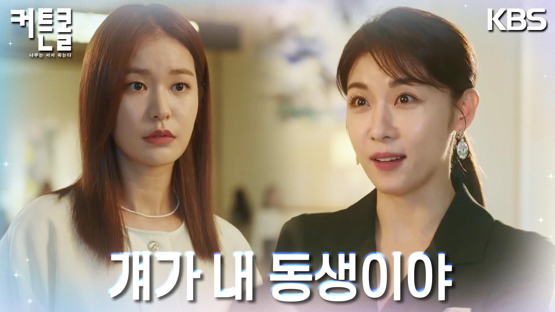 [충격 엔딩] ＂걔가 내 동생이야＂모든 게 밝혀지다? '리문성'의 정체를 알게 된 하지원! | KBS 방송 | ZUM TV