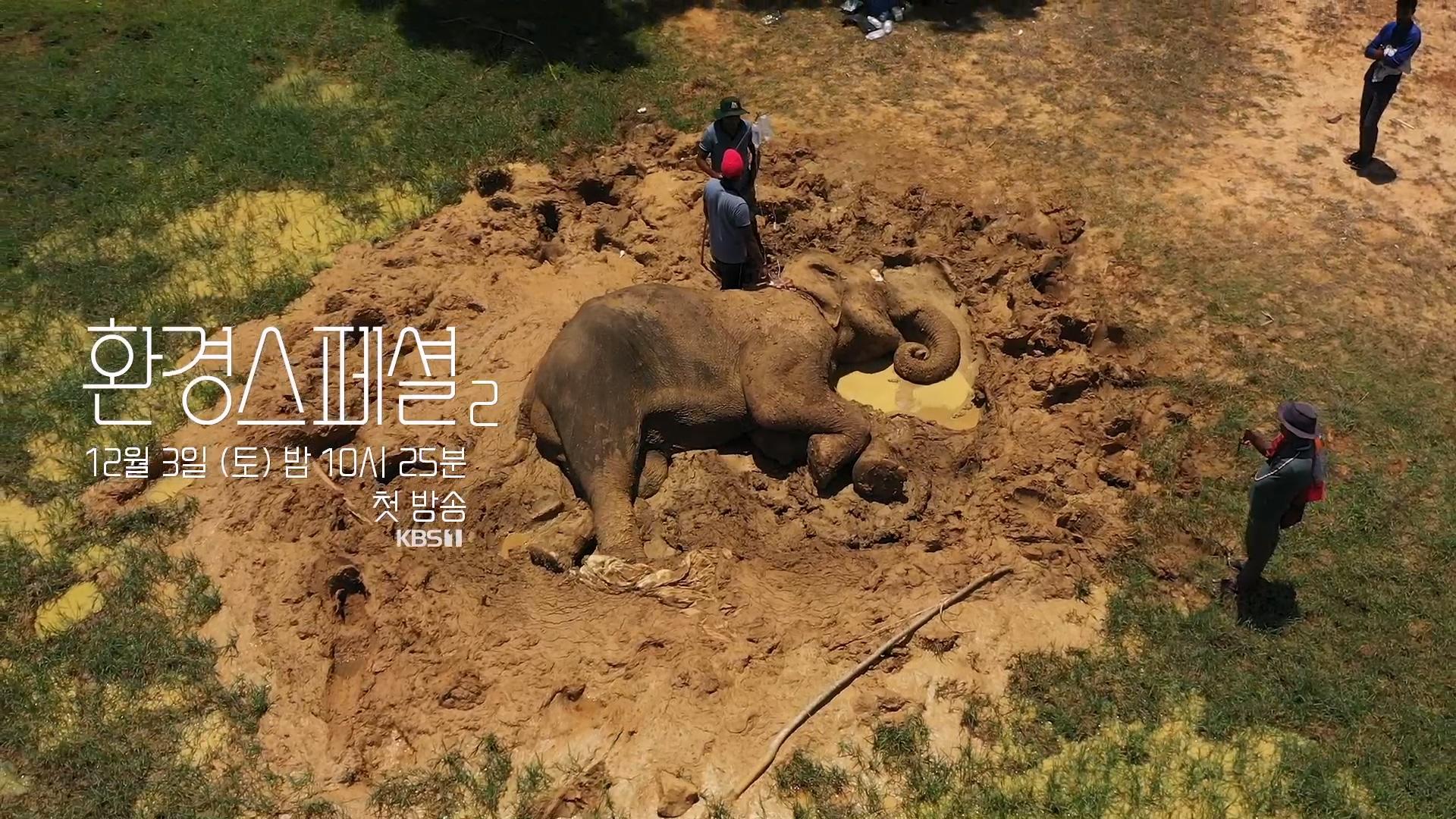 [티저] 환경 스페셜2 - 12월 3일(토) 밤 10시 25분 KBS1 첫 방송 | KBS 방송 | ZUM TV