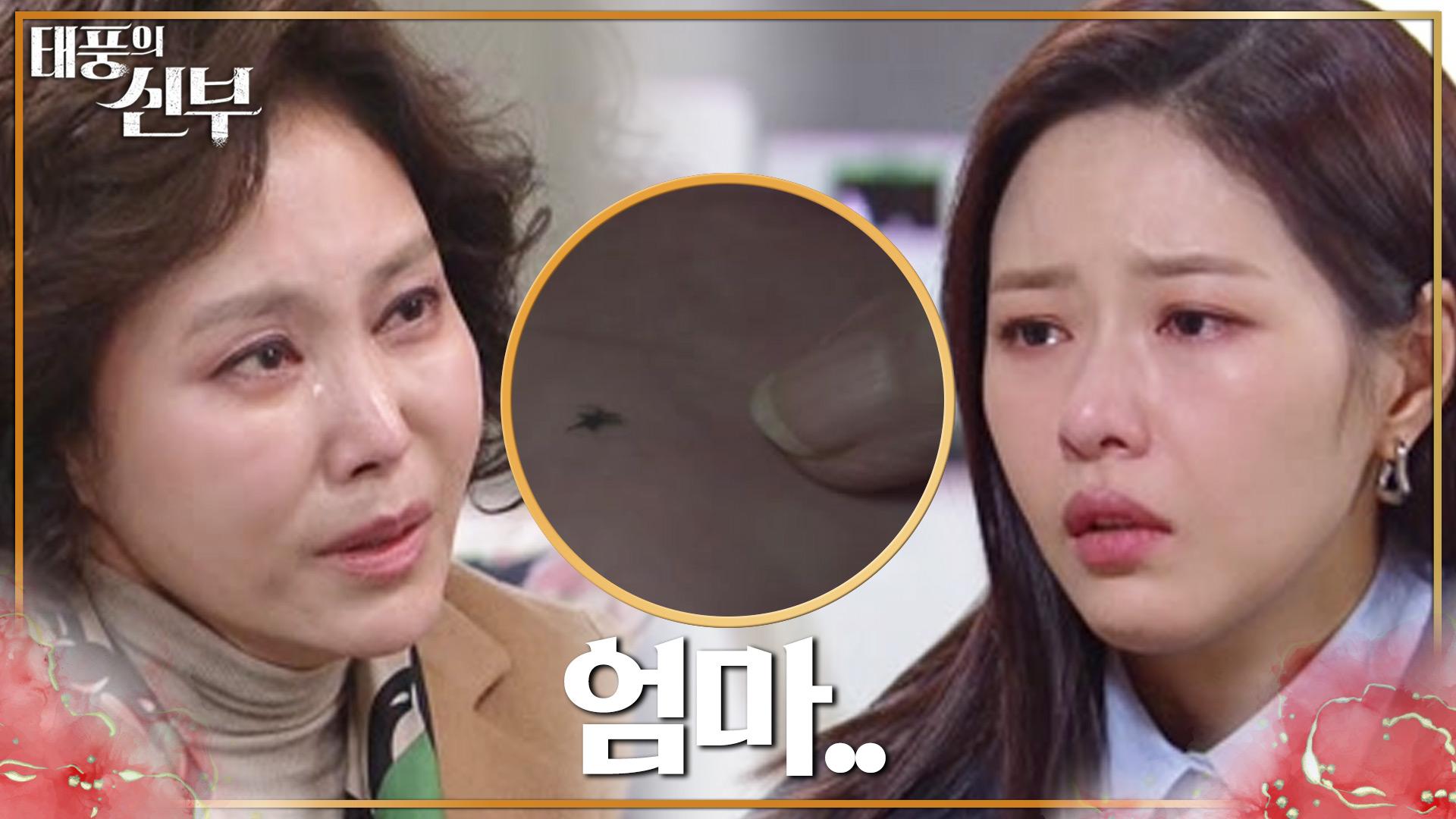 모녀 사이를 확인한 박하나와 지수원··· 눈물의 재회! | KBS 221230 방송 | ZUM TV