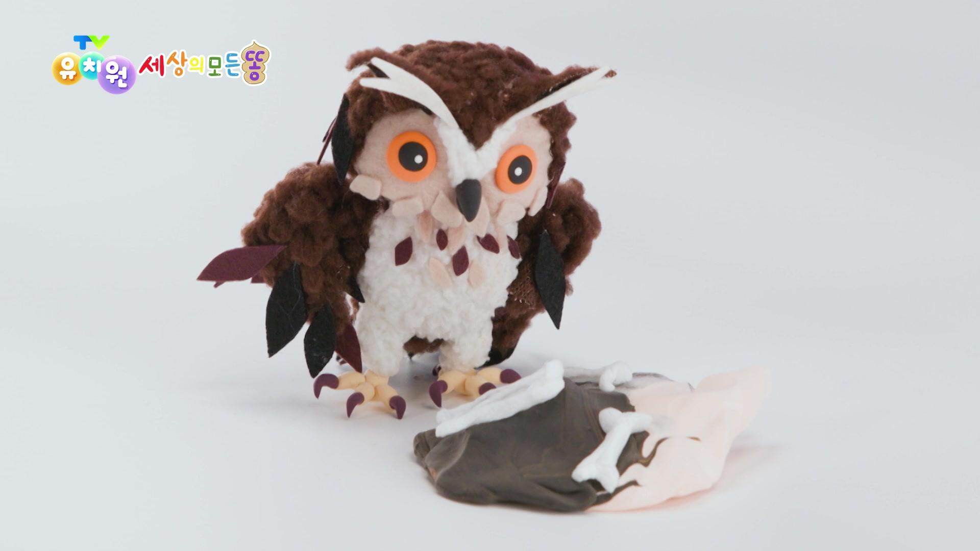 [세상의 모든 똥] 부엉이 중 가장 크고 힘이 센 수리부엉이 응가 만들기! | KBS 230104 방송 | ZUM TV