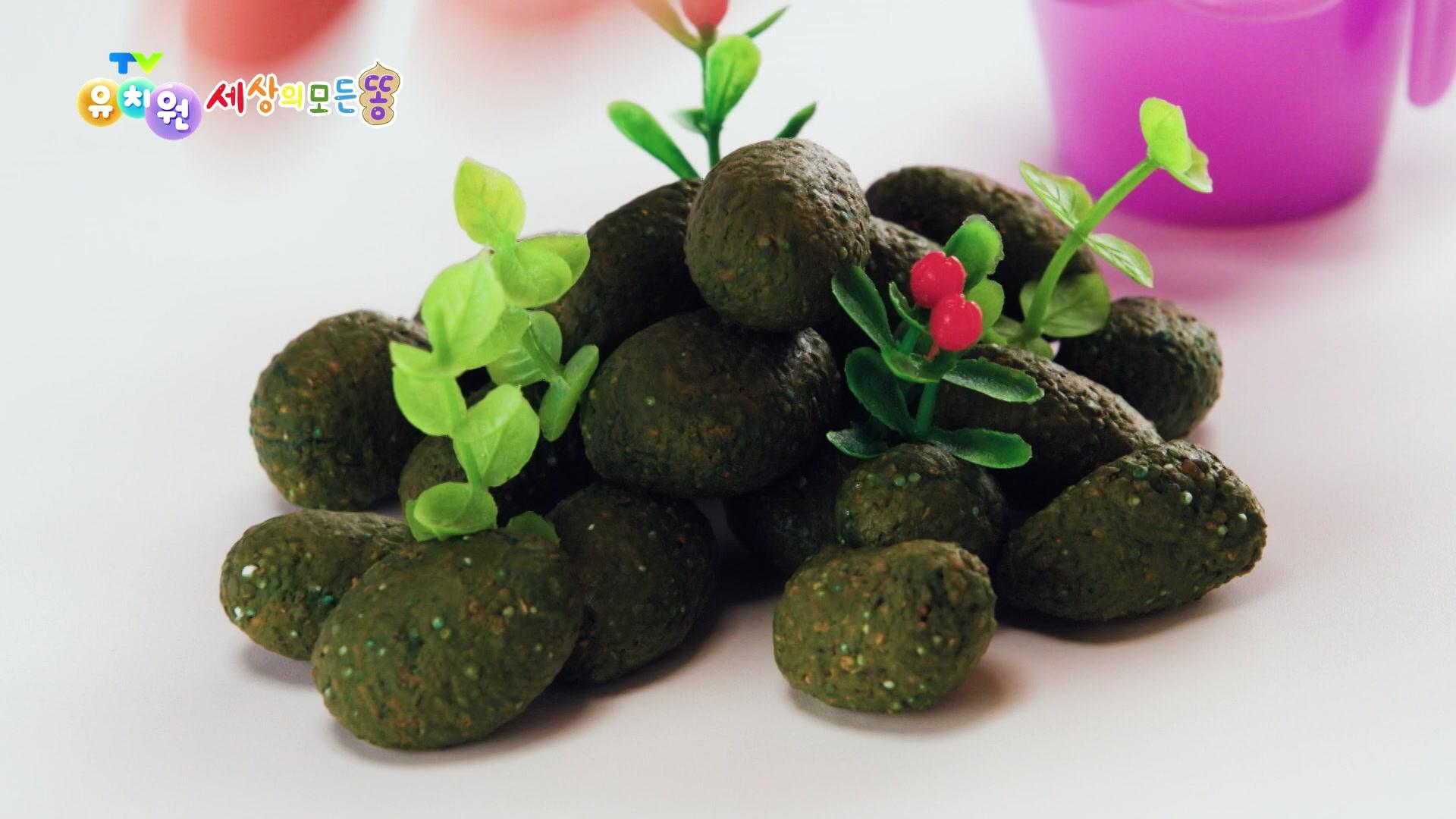 [세상의 모든 똥] 높은 산 위에 사는 알파카 응가 만들기! | KBS 230118 방송 | ZUM TV