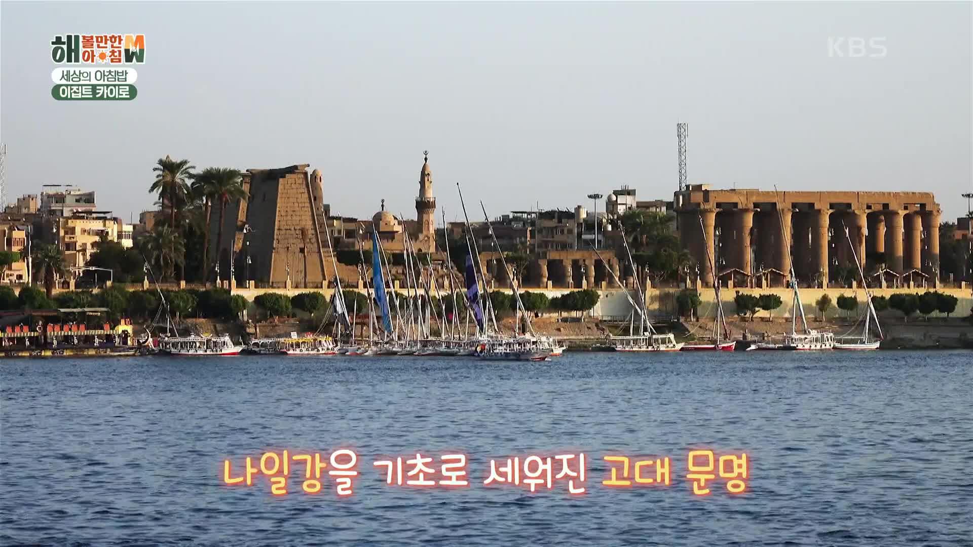 [세상의 아침밥] 이집트 카이로 | KBS 230125 방송 | ZUM TV