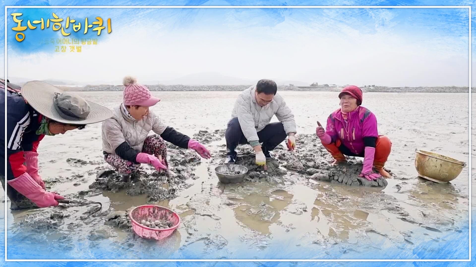 동죽 어머니의 황금밭, 고창 갯벌 | KBS 230401 방송 | ZUM TV