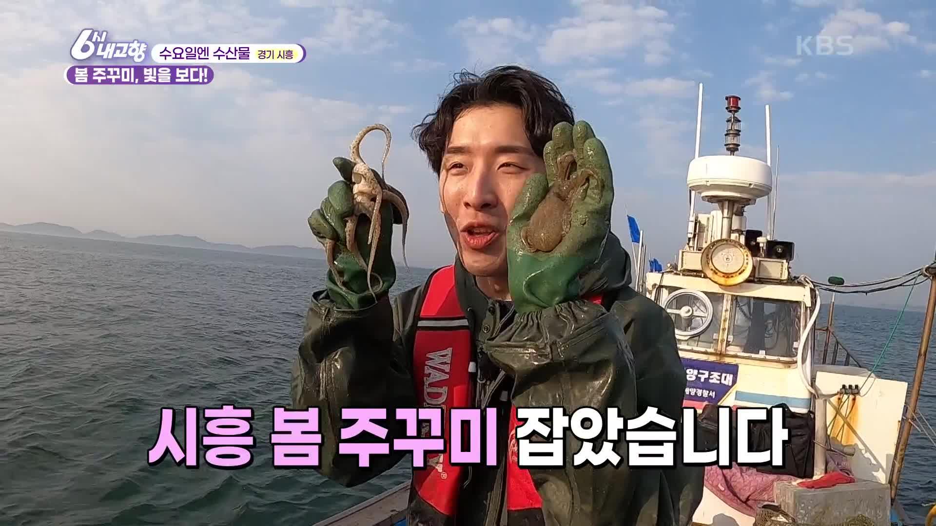 [수요일엔 수산물] 봄 주꾸미, 빛을 보다! | KBS 230405 방송 | ZUM TV