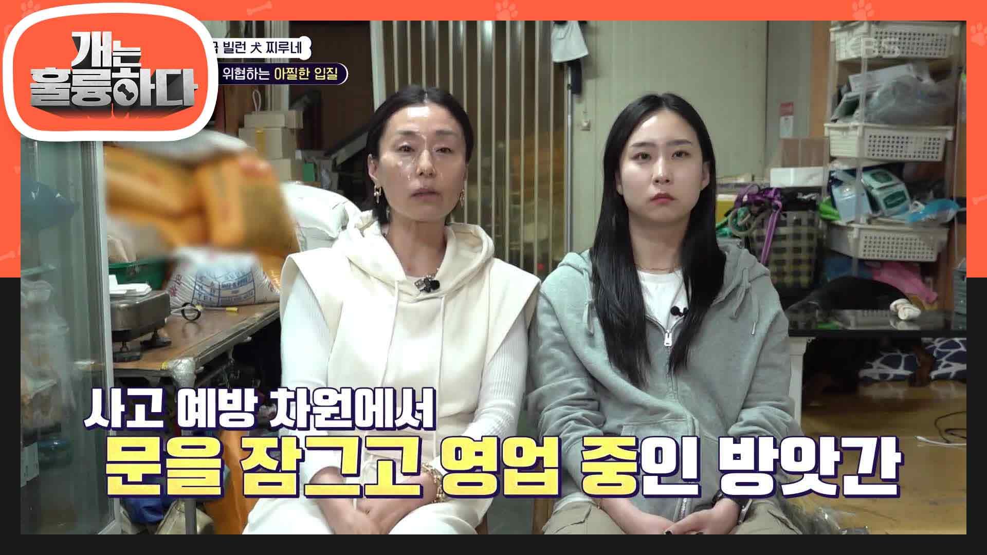 ＂방앗간 안에를 안 들어오셔＂ 찌루 때문에 문을 잠그고 영업 중인 방앗간 | KBS 230417 방송 | ZUM TV