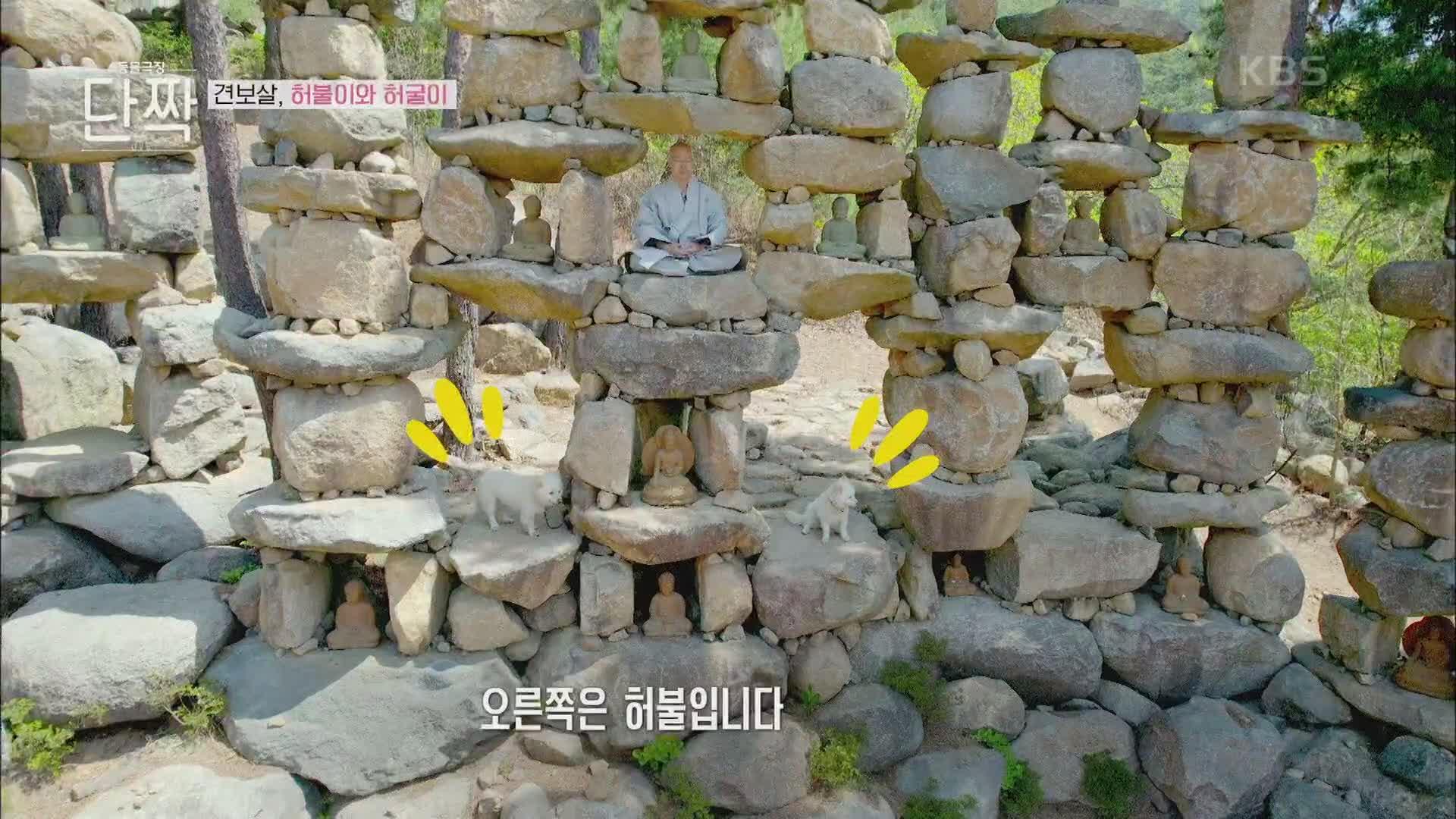 용탑 스님과 견보살 ‘허불이와 허굴이’ | KBS 230520 방송 | ZUM TV