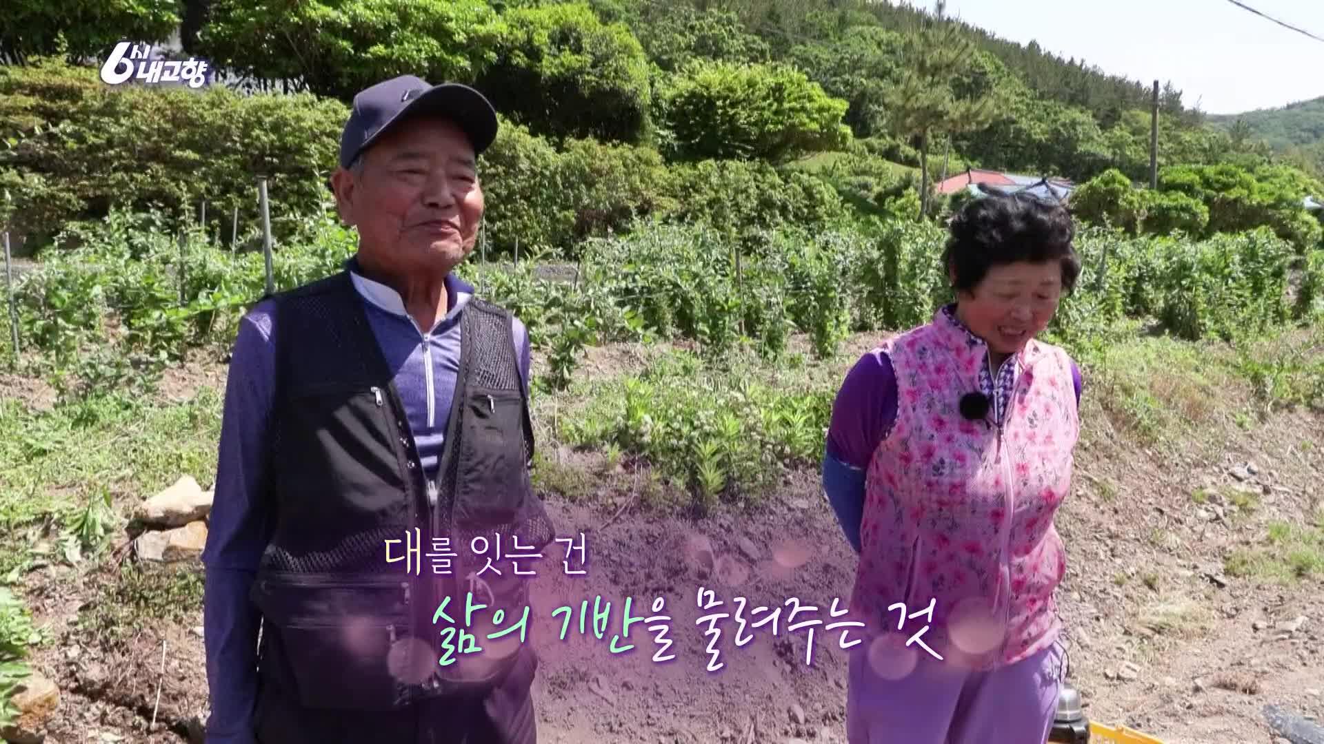 [청산에 살리라] 우리가 지키고 싶은 것 | KBS 230602 방송 | ZUM TV