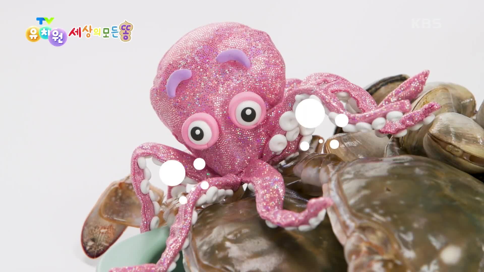 [세상의 모든 똥] 문어의 식사시간! 그런데 문어의 입은 어디에 있을까? | KBS 230607 방송 | ZUM TV