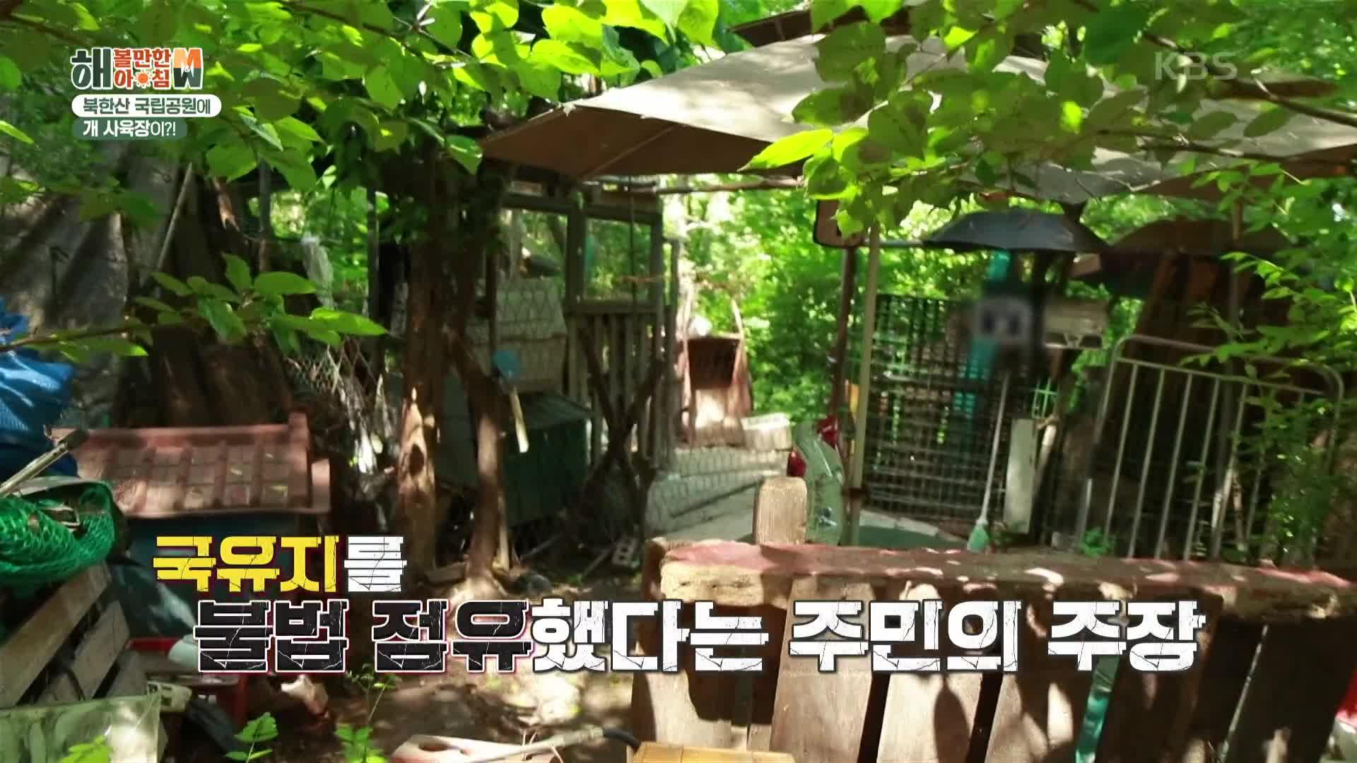 [현장실사단] 북한산 국립공원에 개 사육장이?! | KBS 230607 방송 | ZUM TV