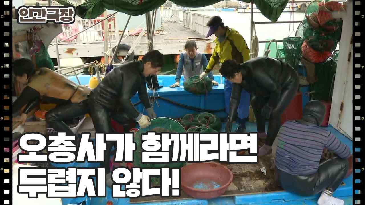 [한 지붕 해녀 오총사] (15/15) [인간극장/Screening Humanity] | KBS 230616 방송 | ZUM TV