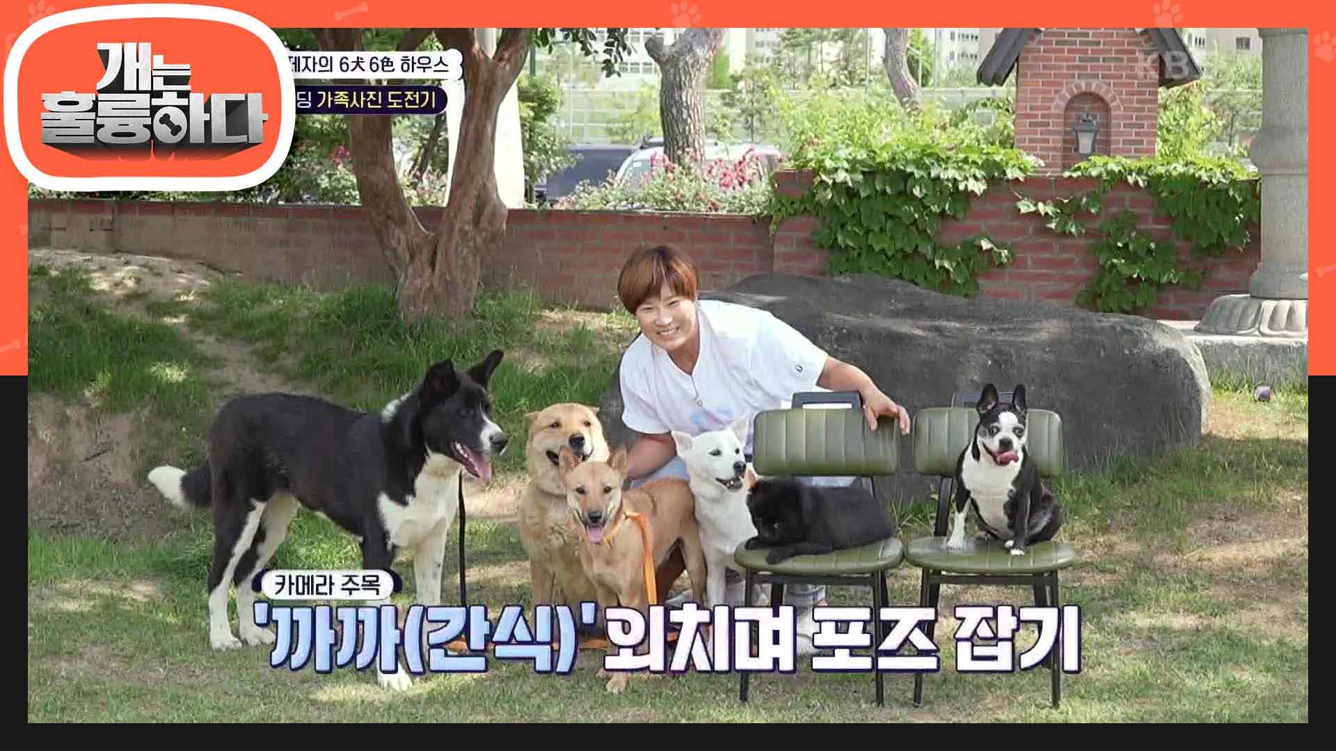 세리 제자네 첫 가족사진 완성! 반려인으로서 세리 제자의 점수는? | KBS 230626 방송 | ZUM TV