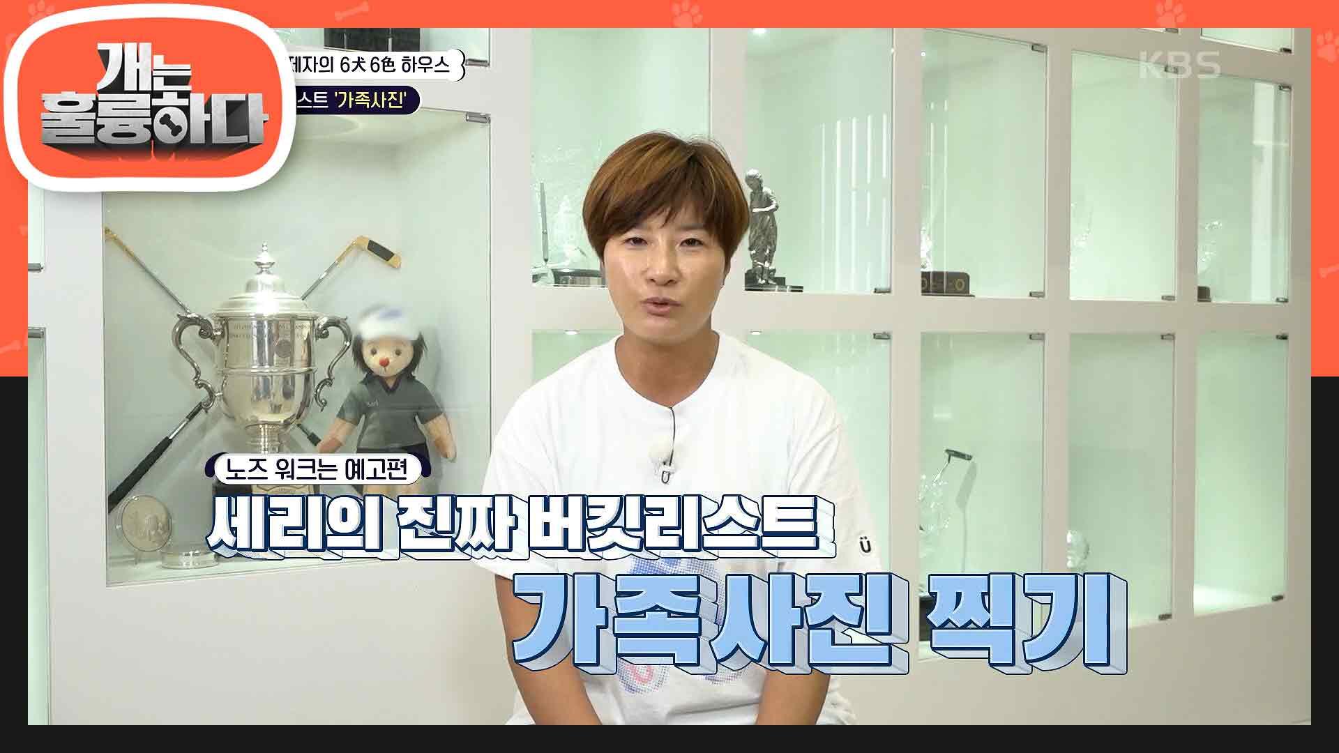 세리의 진짜 버킷리스트 ‘반려견들과 가족사진 찍기’! | KBS 230626 방송 | ZUM TV