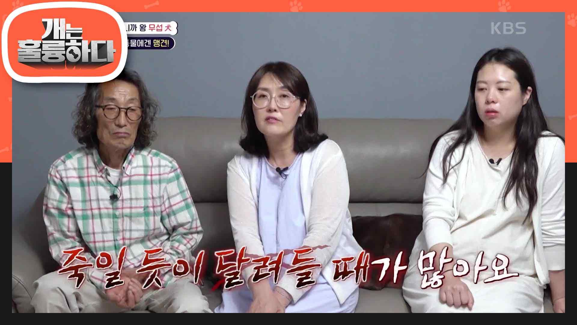 ＂죽일 듯이 달려들 때가 많아요＂ 작은 동물을 보면 잡아먹을 듯이 달려드는 타미 | KBS 230724 방송 | ZUM TV